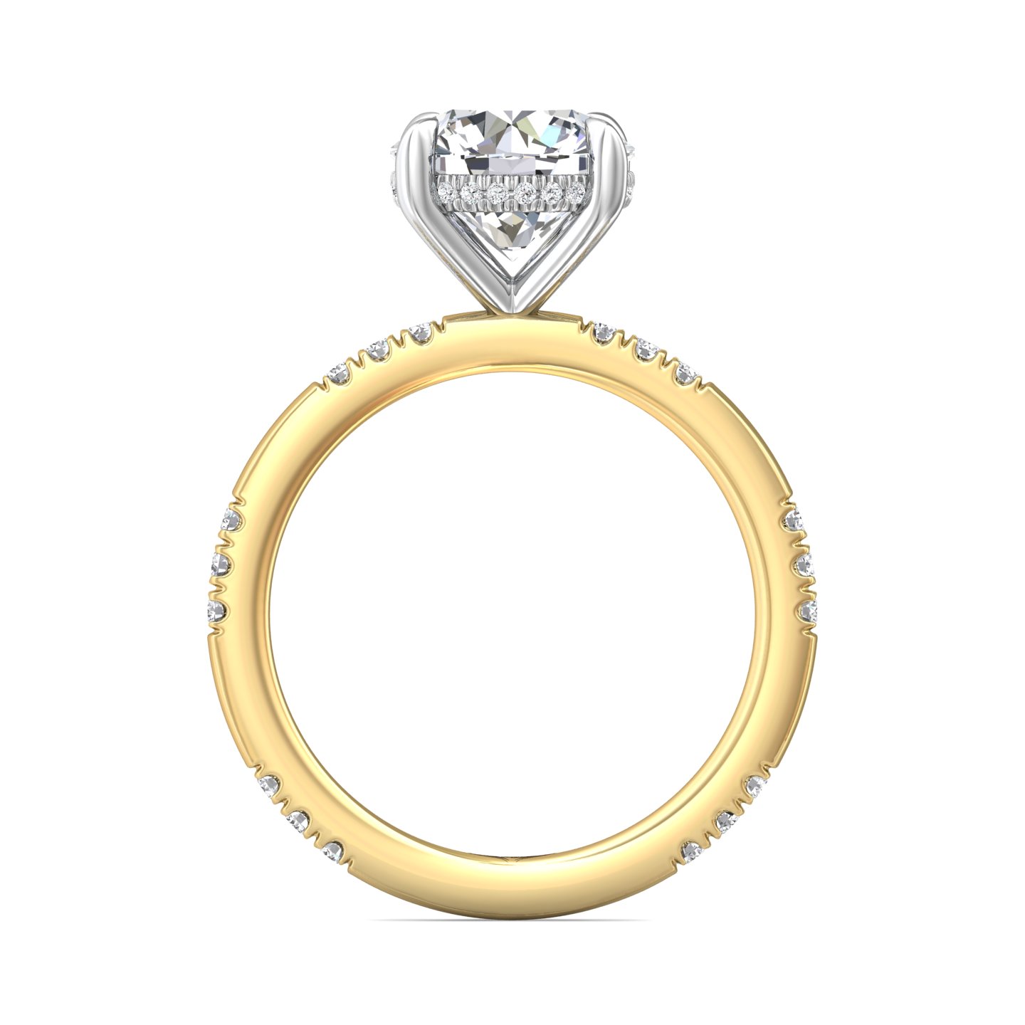 DERM42XSR-1 – Martin Flyer